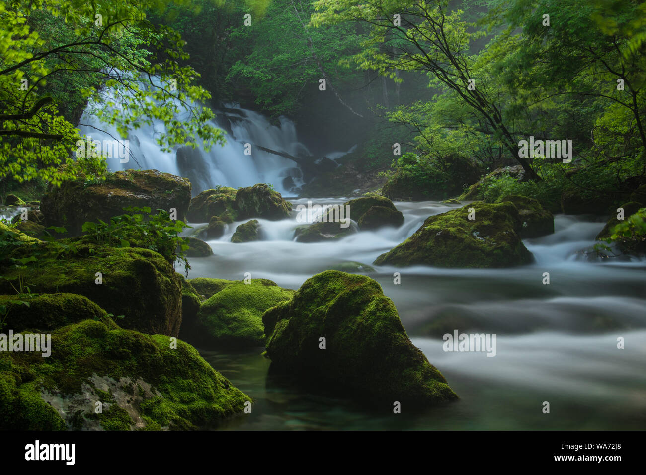 Throw stone river hi-res stock photography and images - Alamy