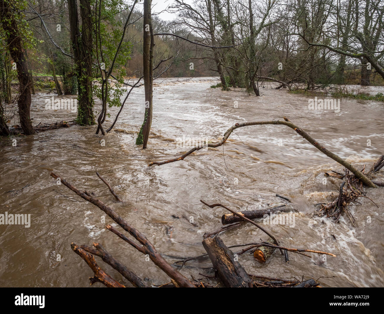 Weather Rain Raining River Flood Flooding Floods Danger Water Debris ...
