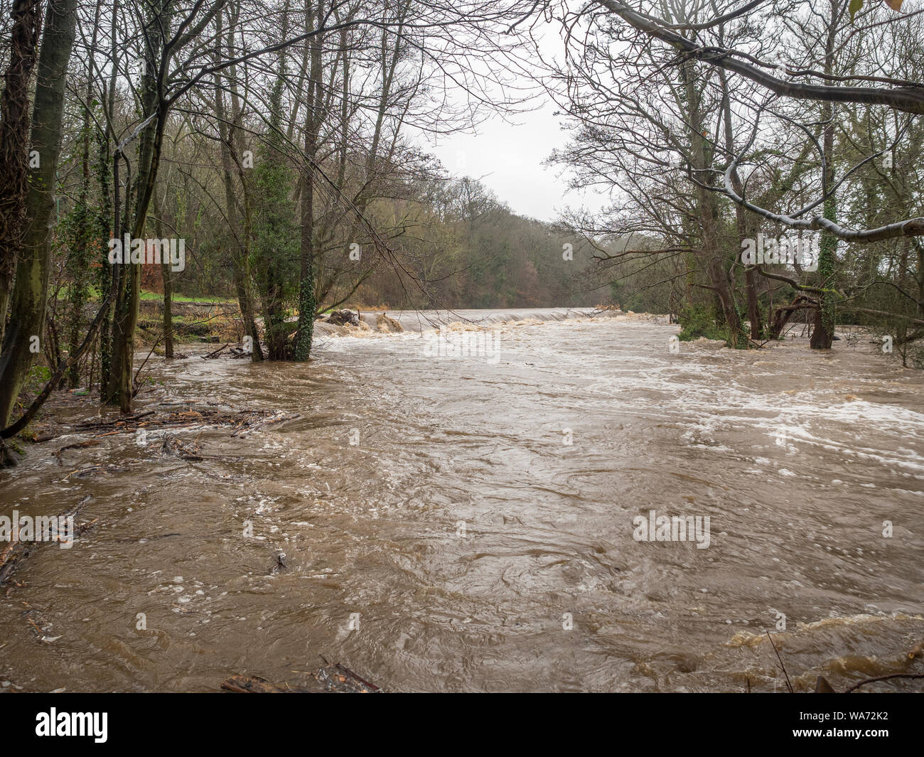 Weather Rain Raining River Flood Flooding Floods Danger Water Debris ...