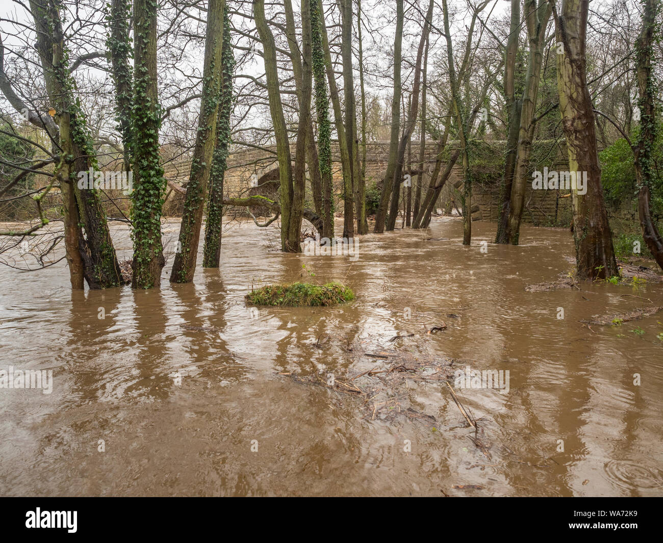 Weather Rain Raining River Flood Flooding Floods Danger Water Debris ...