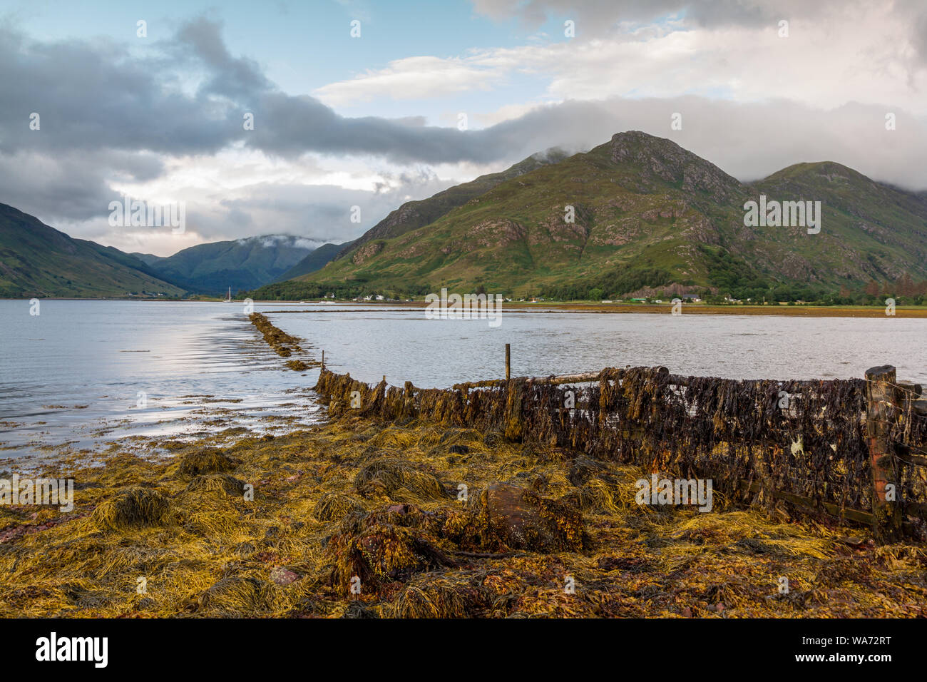 Loch Duich, Scotland, UK Stock Photo - Alamy