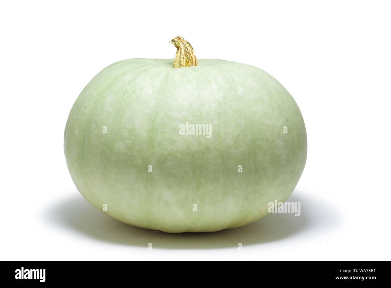pale green ripe pumpkin on white background, side view Stock Photo - Alamy