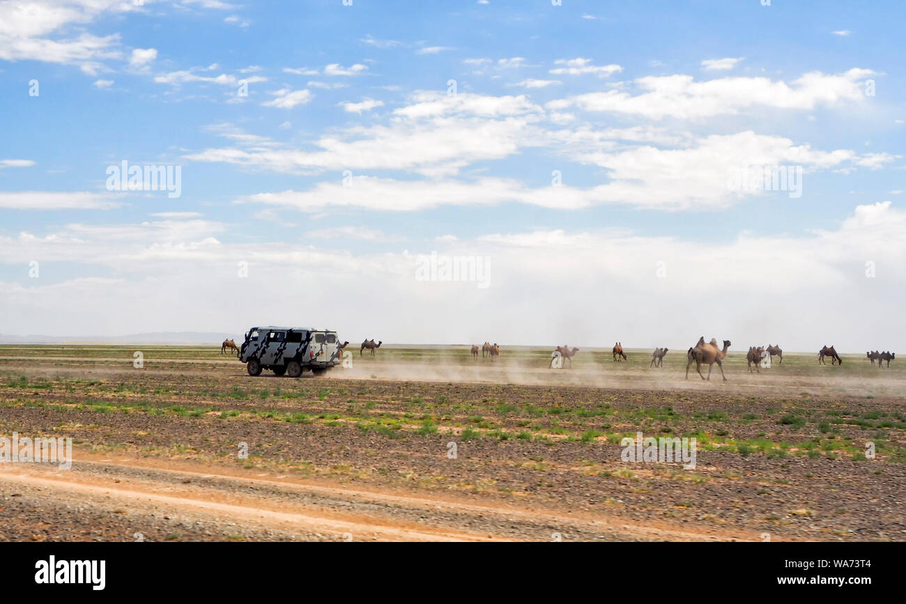 Russian Vans driving on a secluded road, Mongolia Stock Photo - Alamy