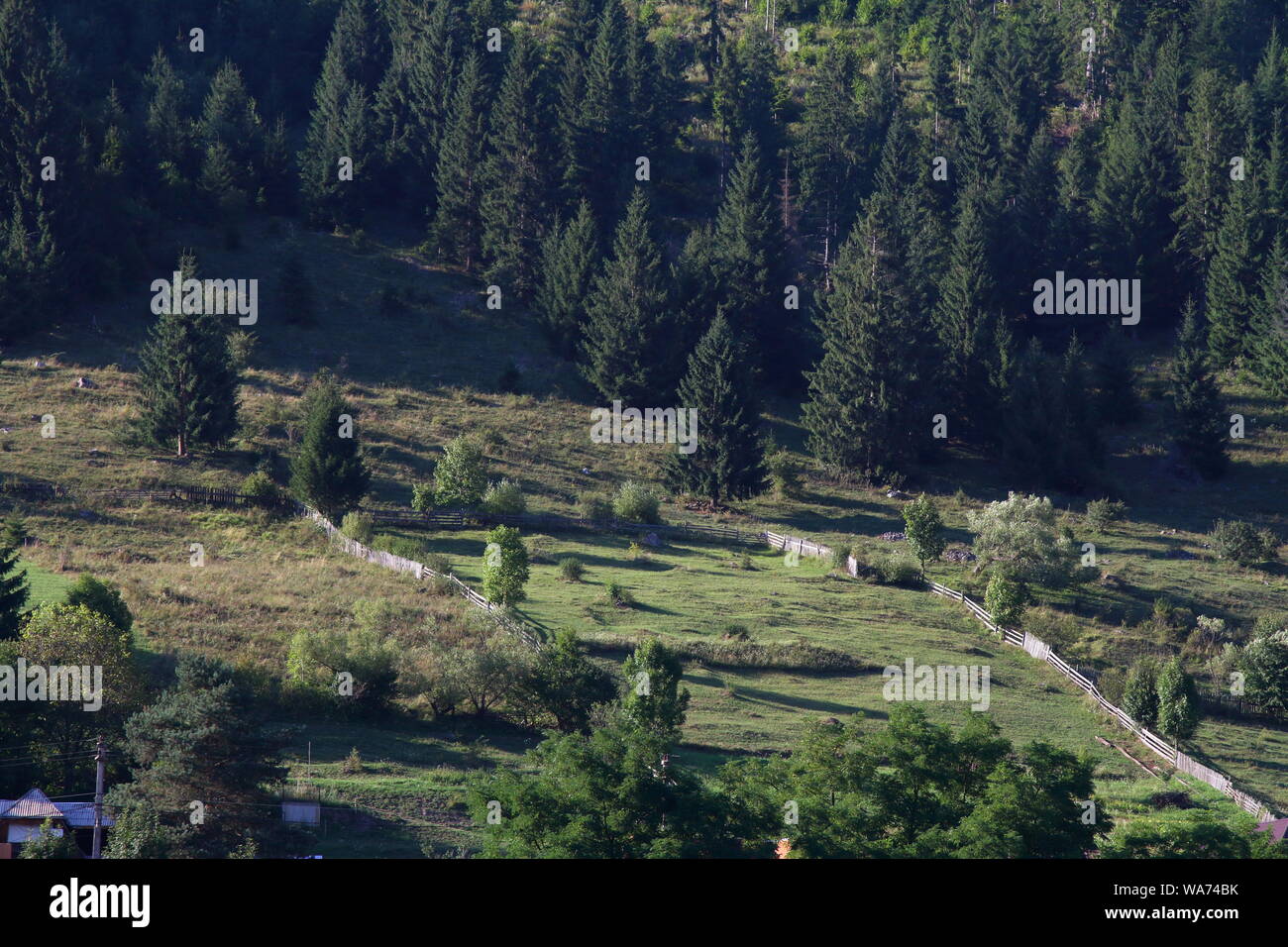 Scene captured in the Mures (Maros) river valley, Transylvania, Romania ...