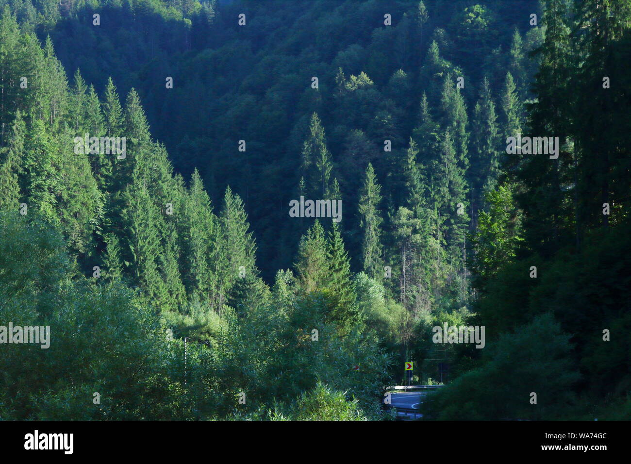 Mures river valley in hi-res stock photography and images - Alamy