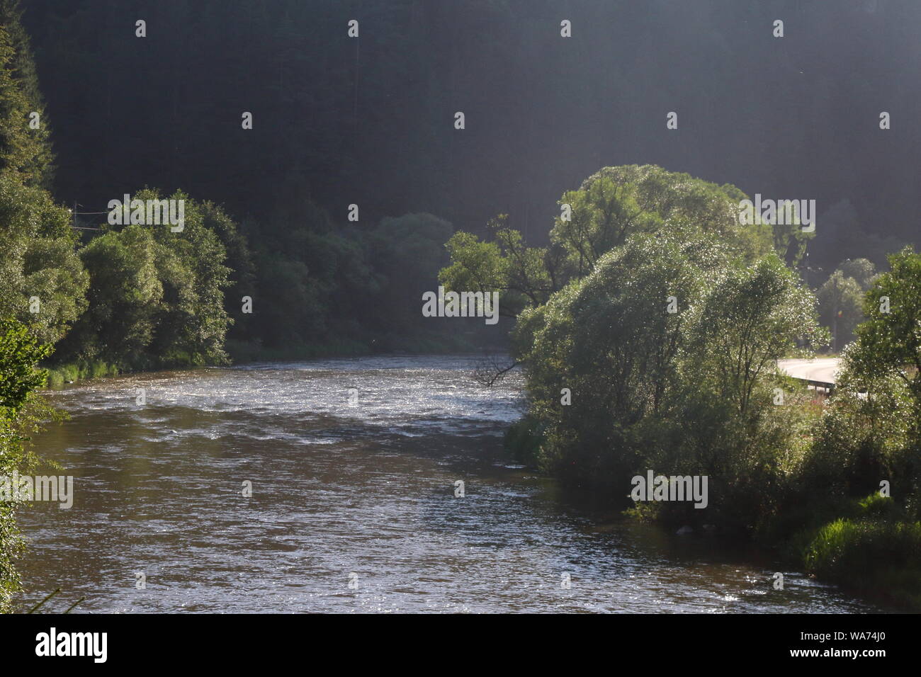 Scene captured in the Mures (Maros) river valley, Transylvania, Romania ...