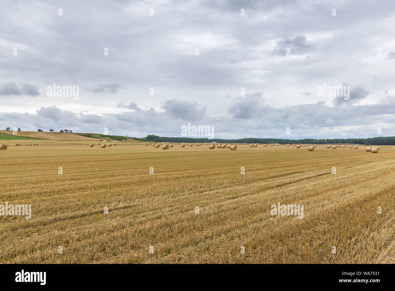 Straw bales on farmland background Stock Photo - Alamy