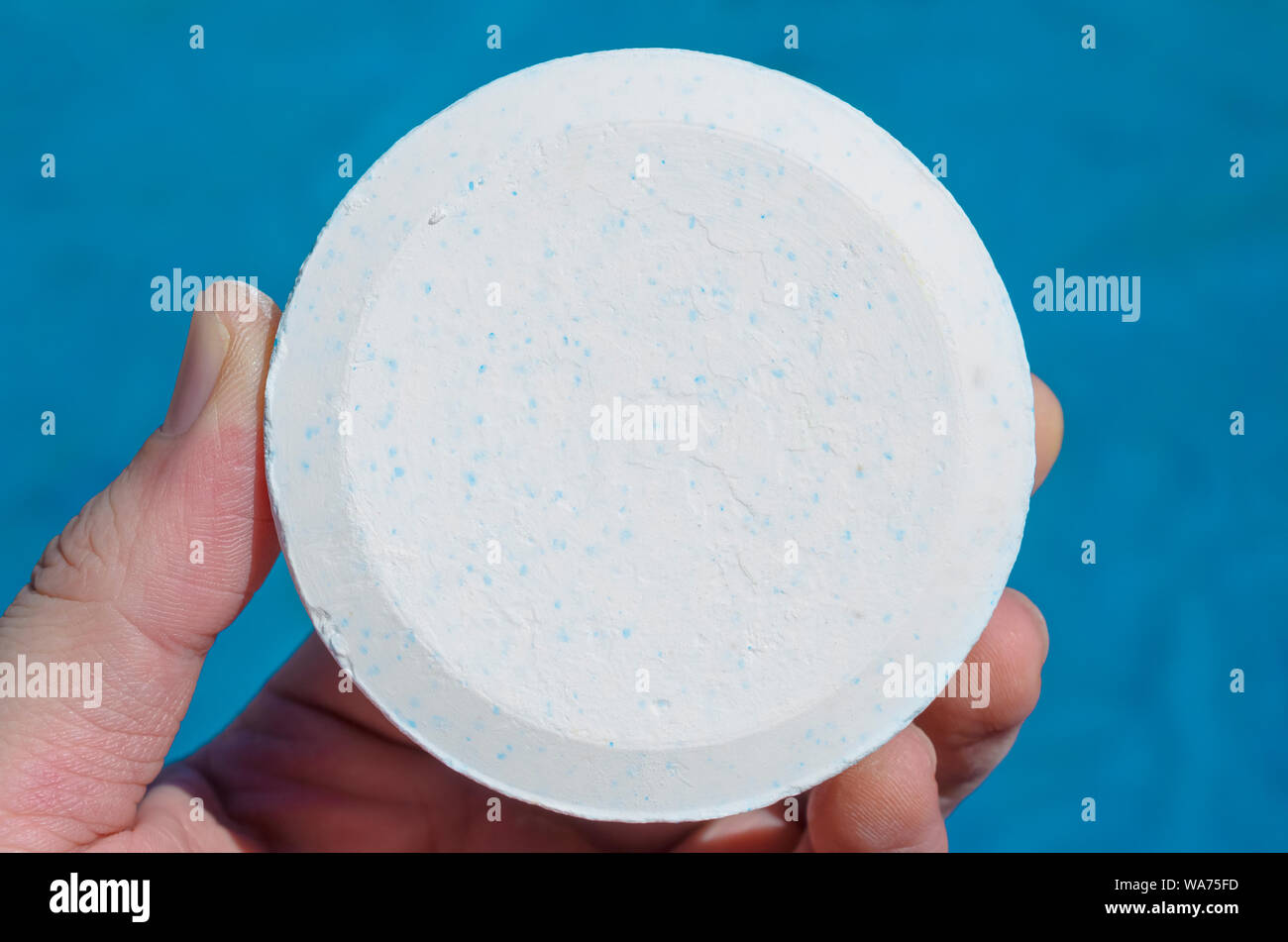 Hand holding a pool chlorine tablet. Chlorine for the pool water ...