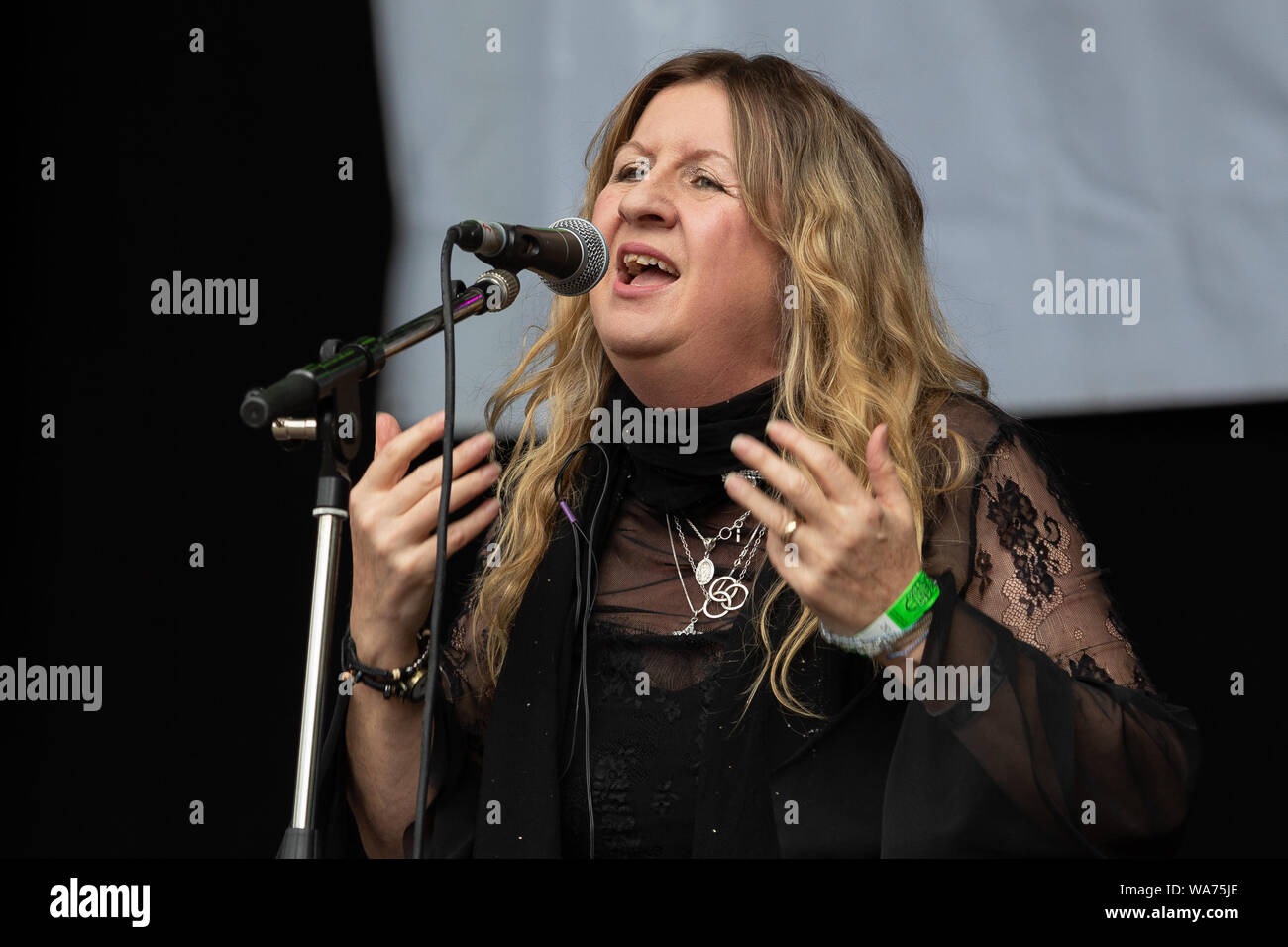 Deborah Bonham performing at WeyFest 2019 Music Festival Stock Photo ...