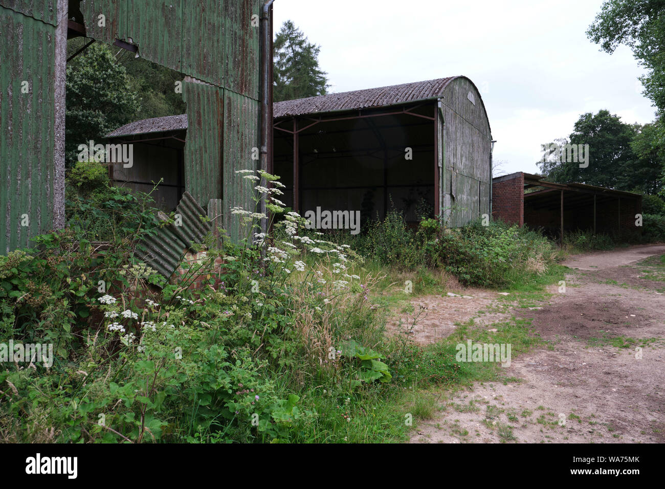 Derelict farm Buildings, Surrey, England Stock Photo - Alamy