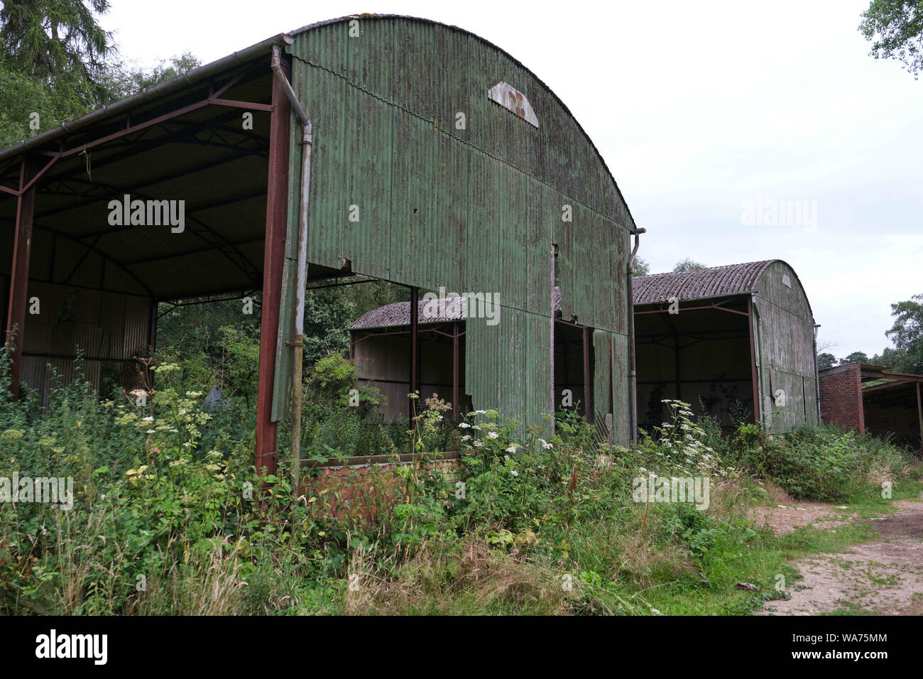 Derelict farm Buildings, Surrey, England Stock Photo - Alamy