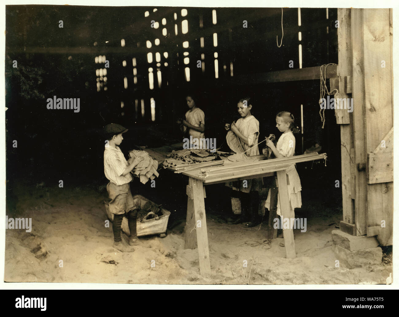 10 year old leaf boy and three stringers, 10, 12, and 13 yrs. old ...