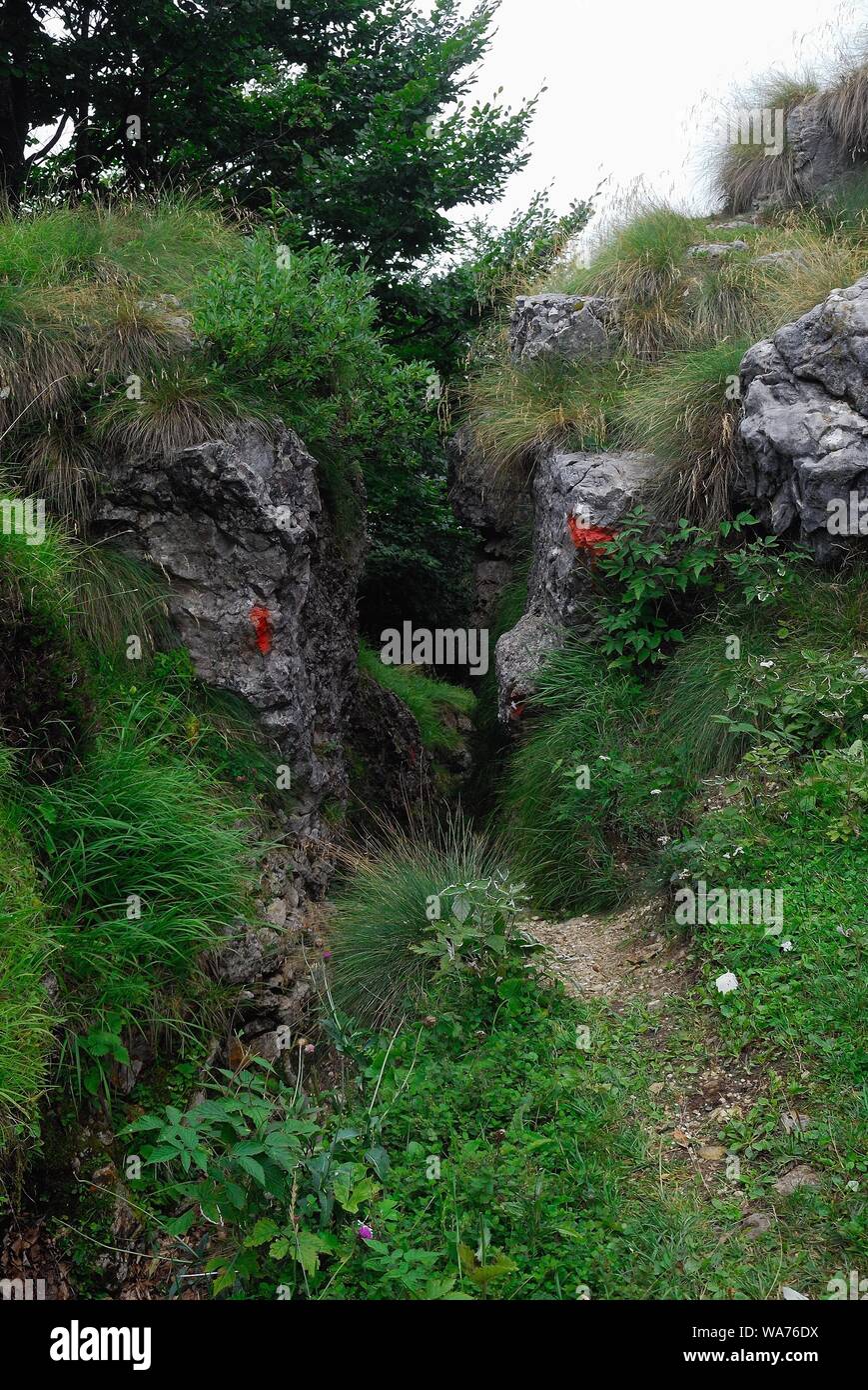 First world war italian trenches hi-res stock photography and images ...