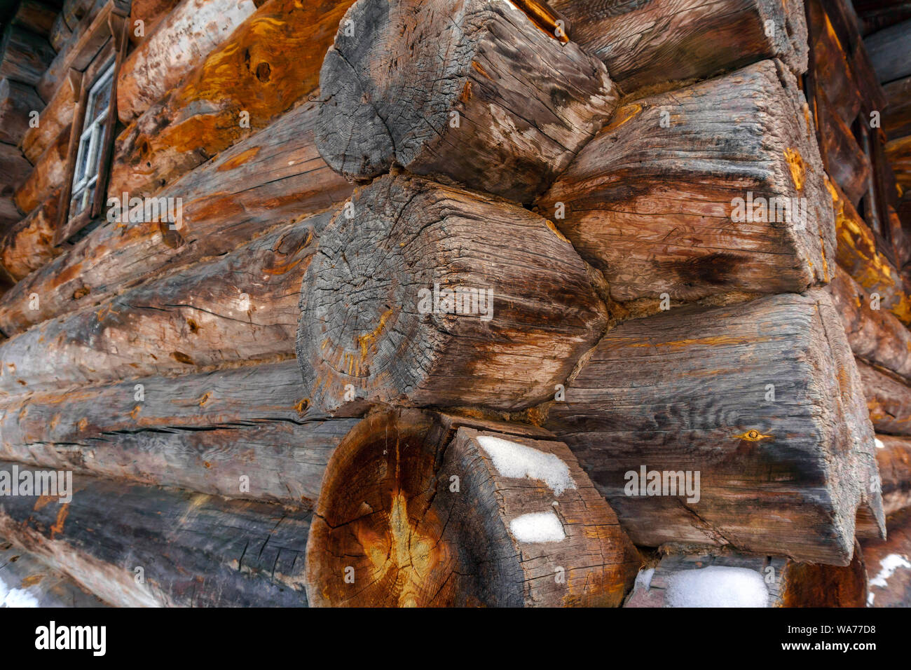 Ends of logs texture hi-res stock photography and images - Alamy