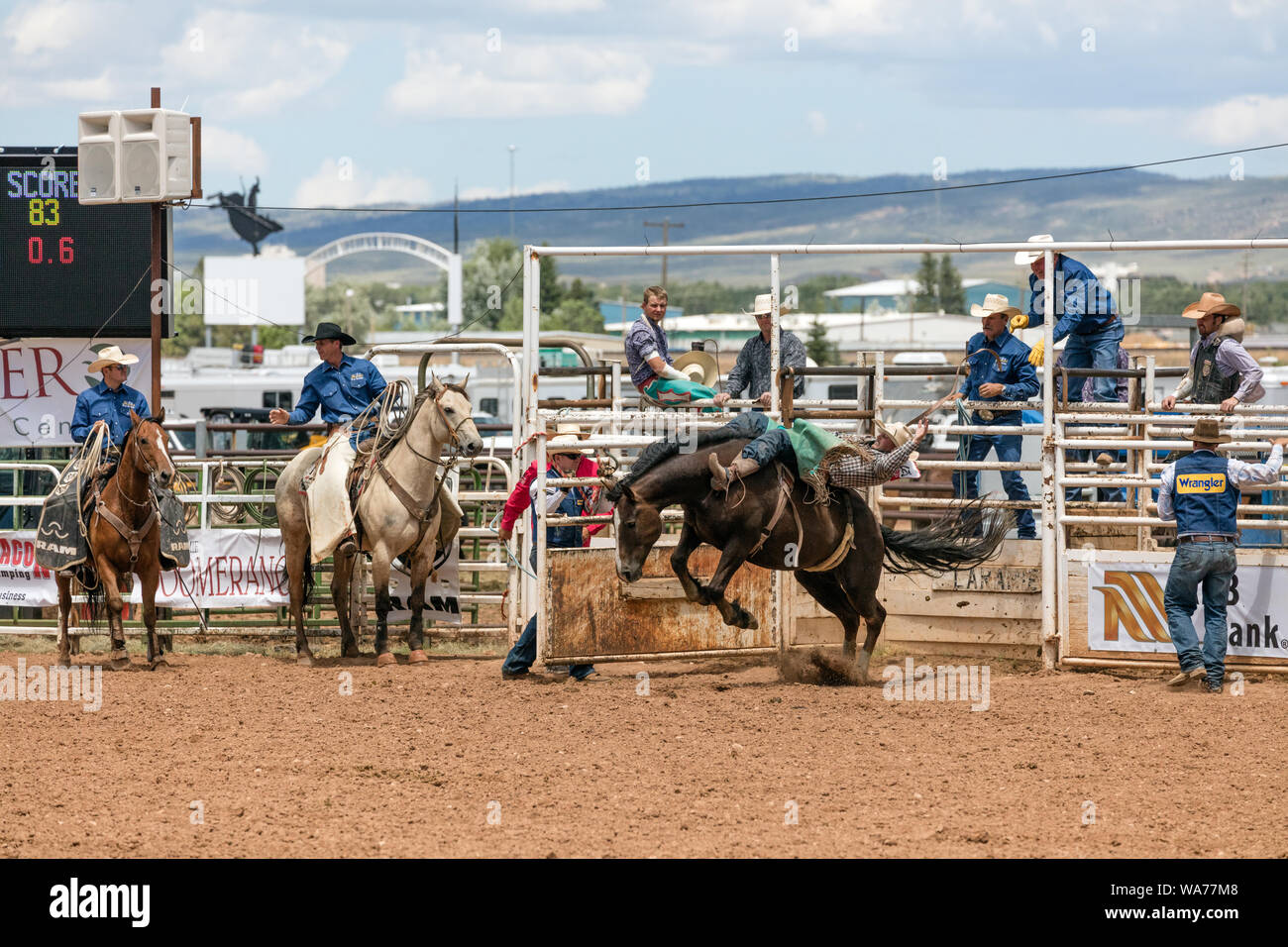 A cowpoke feels the full effect of a bucking bronco, straight out of ...
