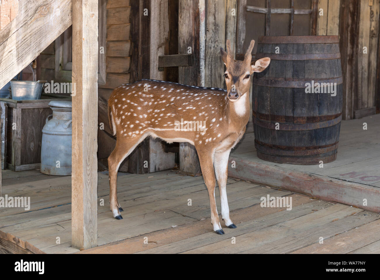 Set of commercials hi-res stock photography and images - Alamy
