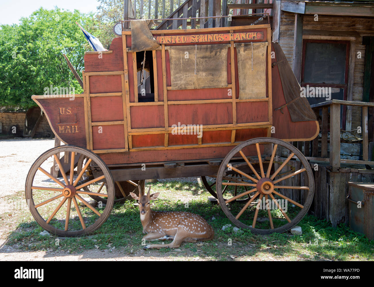 A docile deer escapes the sun under a stagecoach at the Enchanted ...