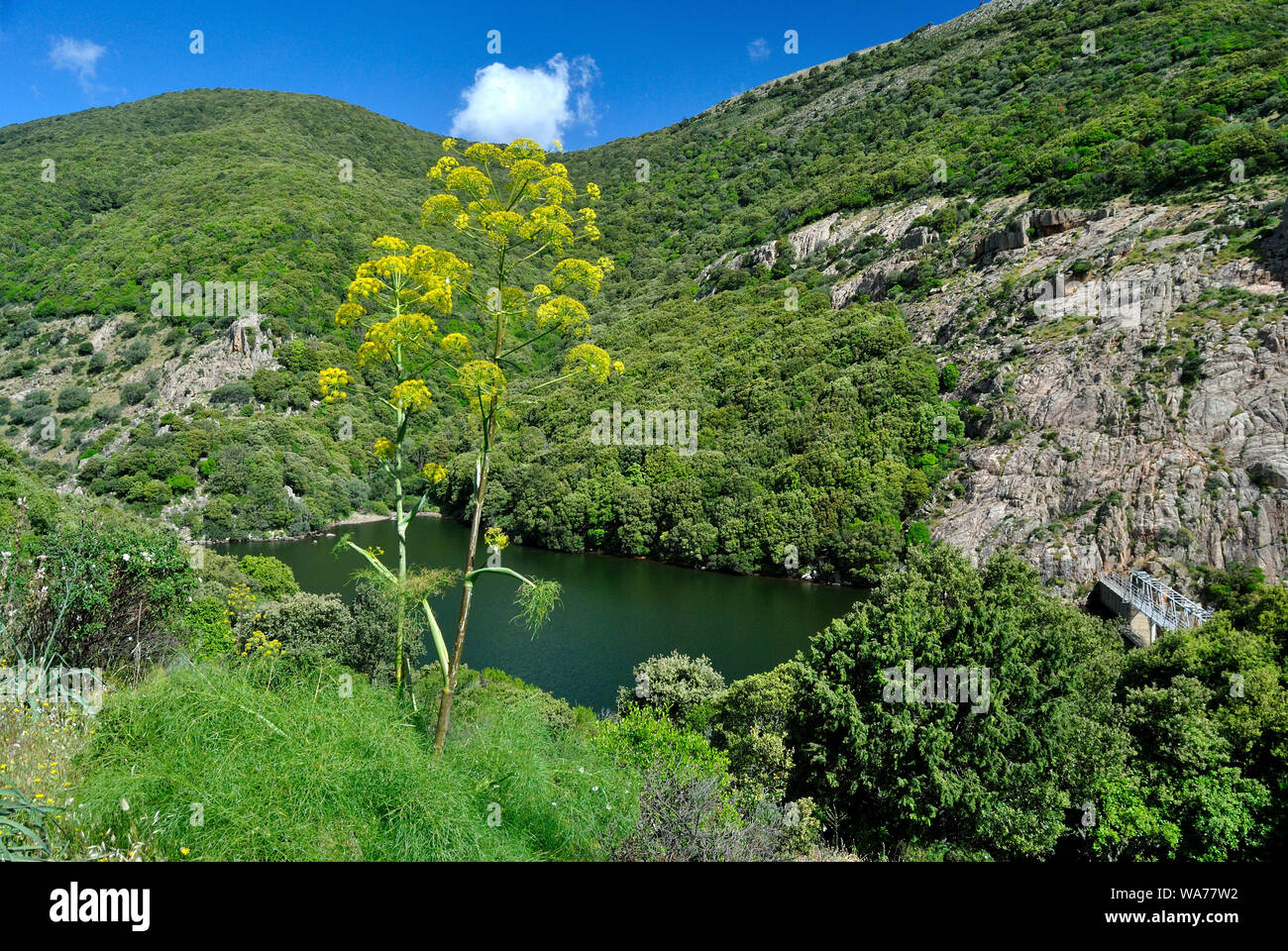 View of Lake Rio Coxinas Stock Photo - Alamy