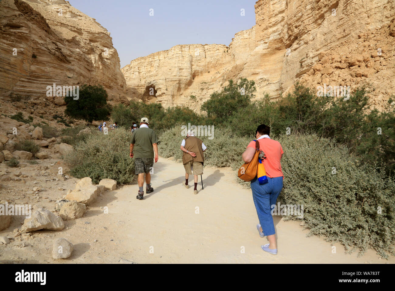 Pilgrimage in Holy Land. Ein Avdat Canyon. Negev Desert. Israël Stock ...