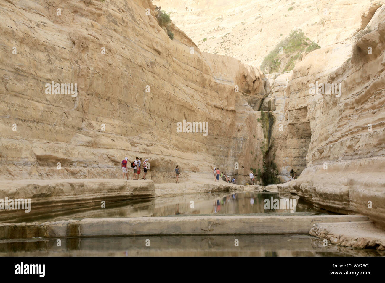 Pilgrimage in Holy Land. Ein Avdat Canyon. Negev Desert. Israël Stock ...
