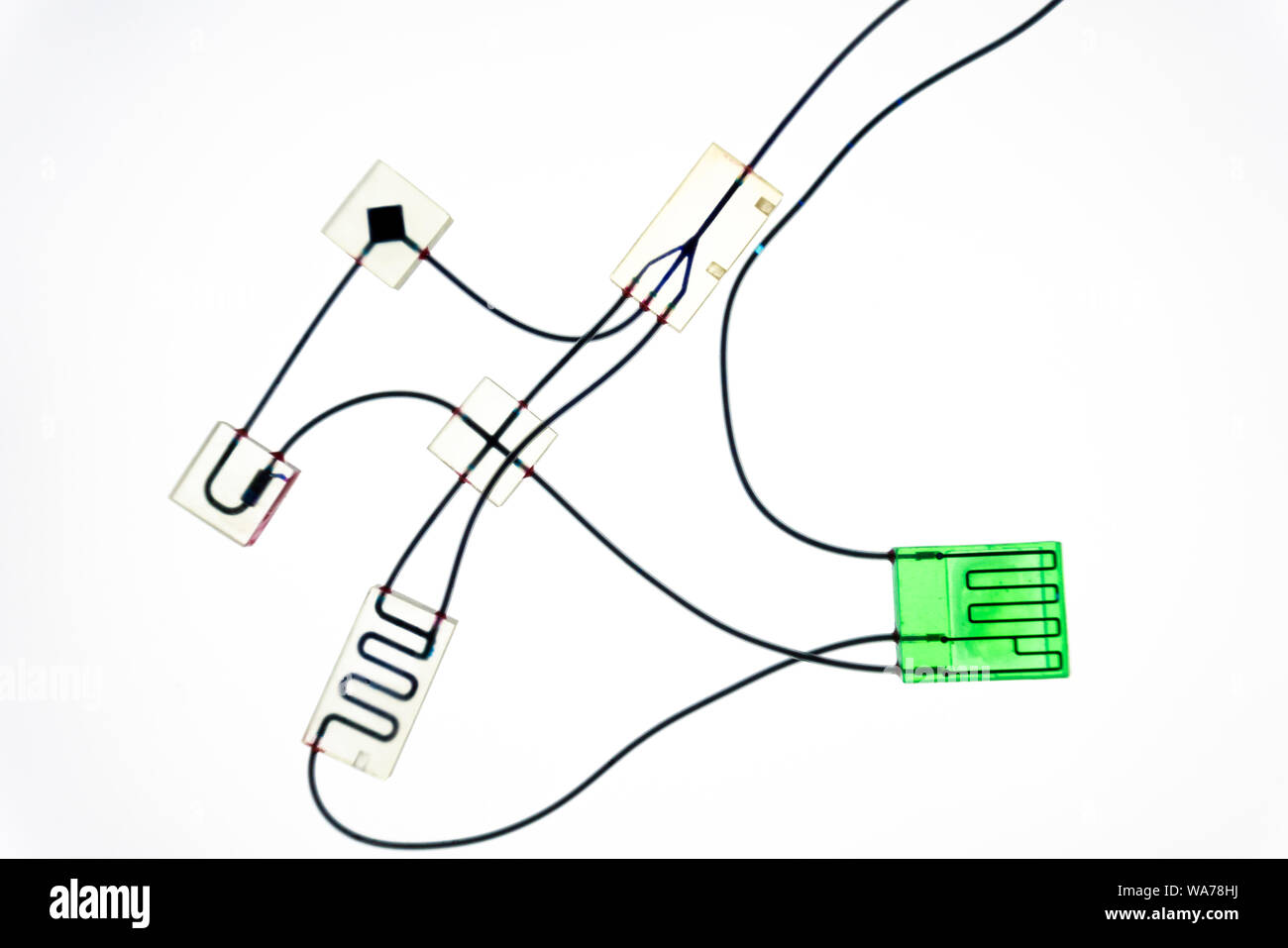 Organ-on-a-chip (OOC) - microfluidic device chip that simulates ...