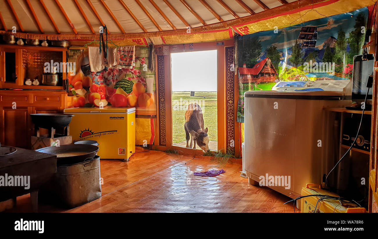Ger with open door hi-res stock photography and images - Alamy