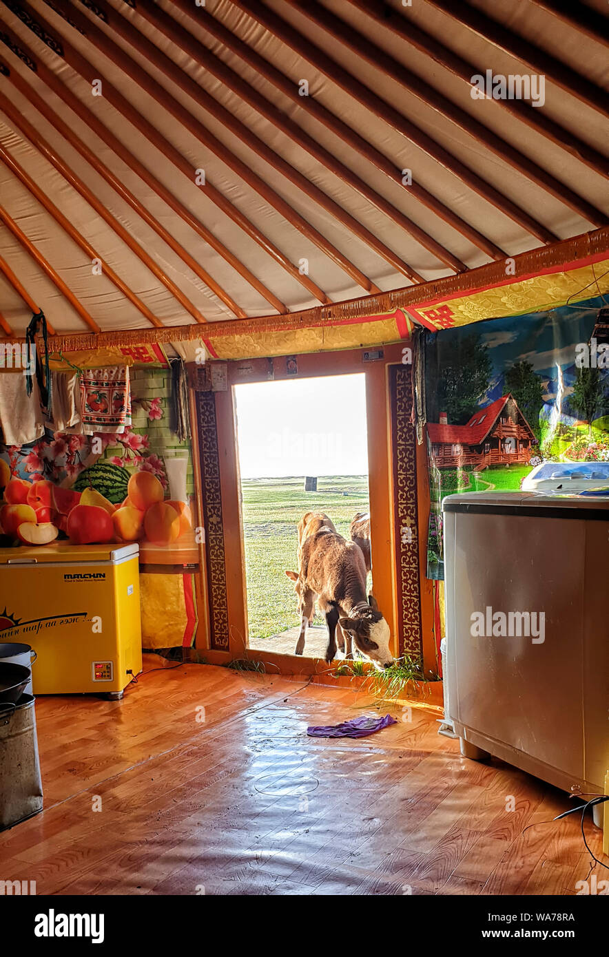 Ger with open door hi-res stock photography and images - Alamy
