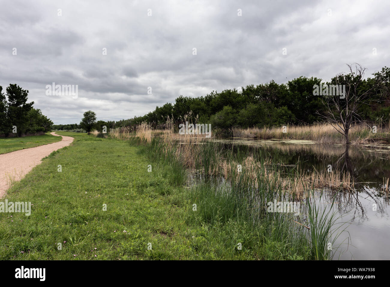 The willow project hi-res stock photography and images - Alamy