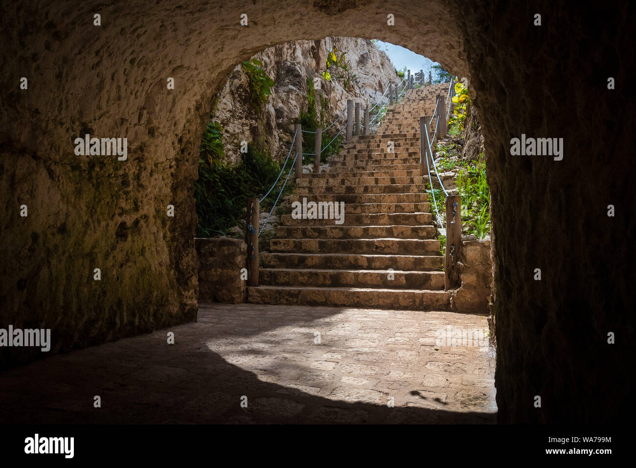 Yucatan nature hi-res stock photography and images - Alamy