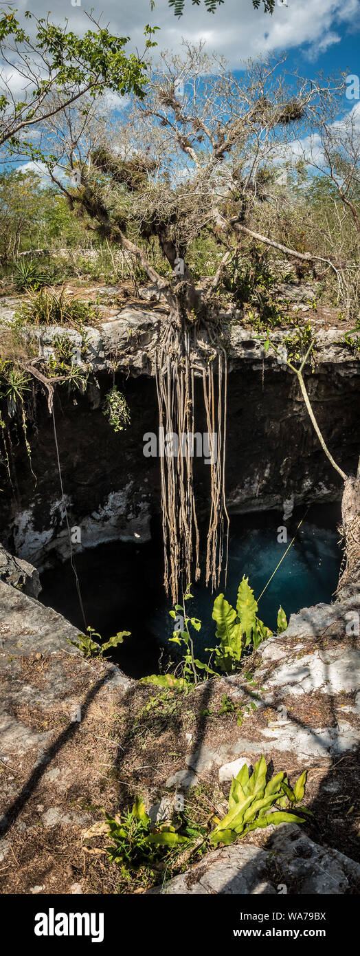 Yucatan nature hi-res stock photography and images - Alamy