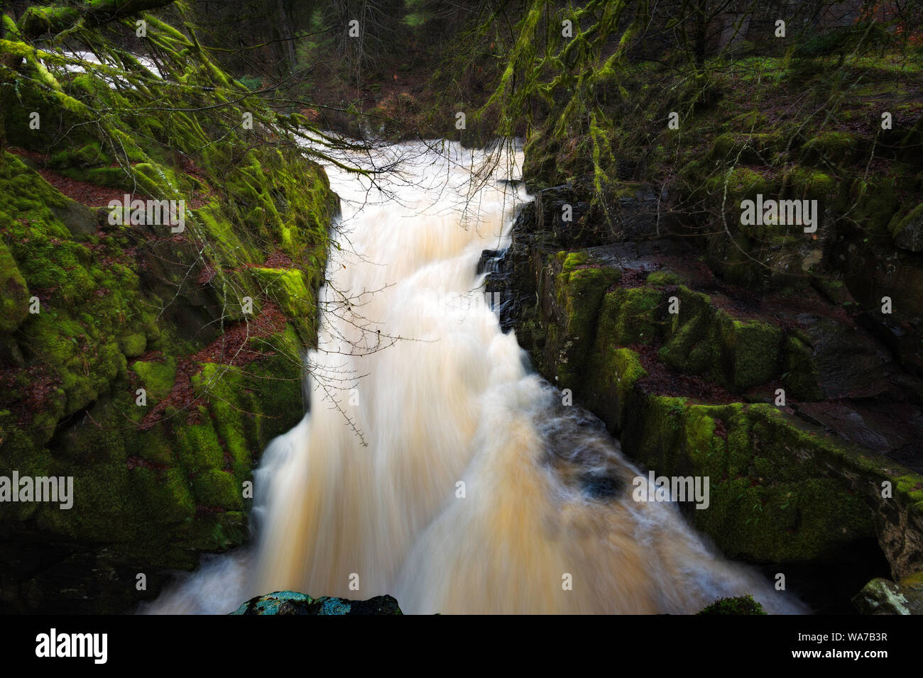 Black linn falls hi-res stock photography and images - Alamy