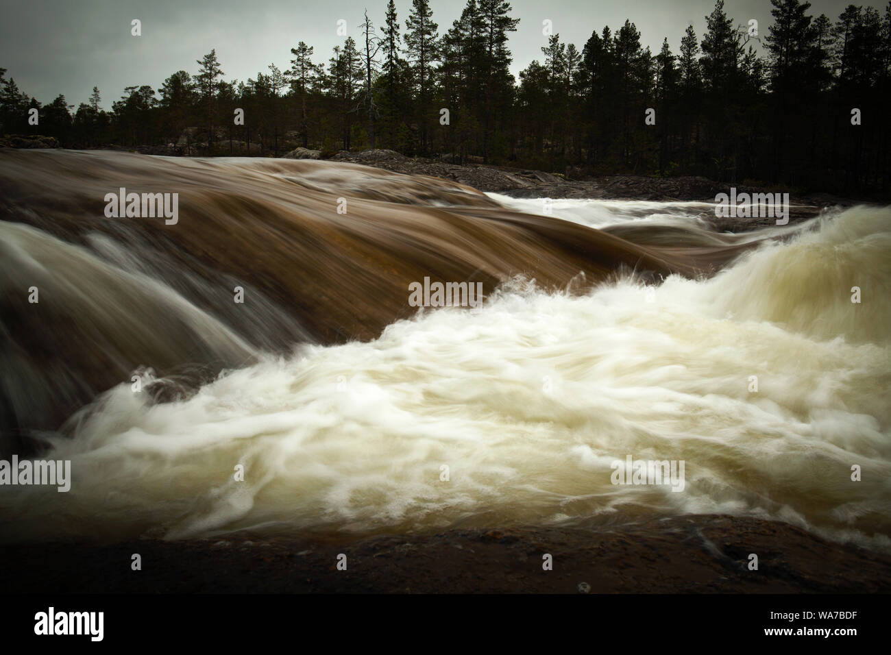 River stream in the woodland. Cliff and rock both sides. Trees Stock ...