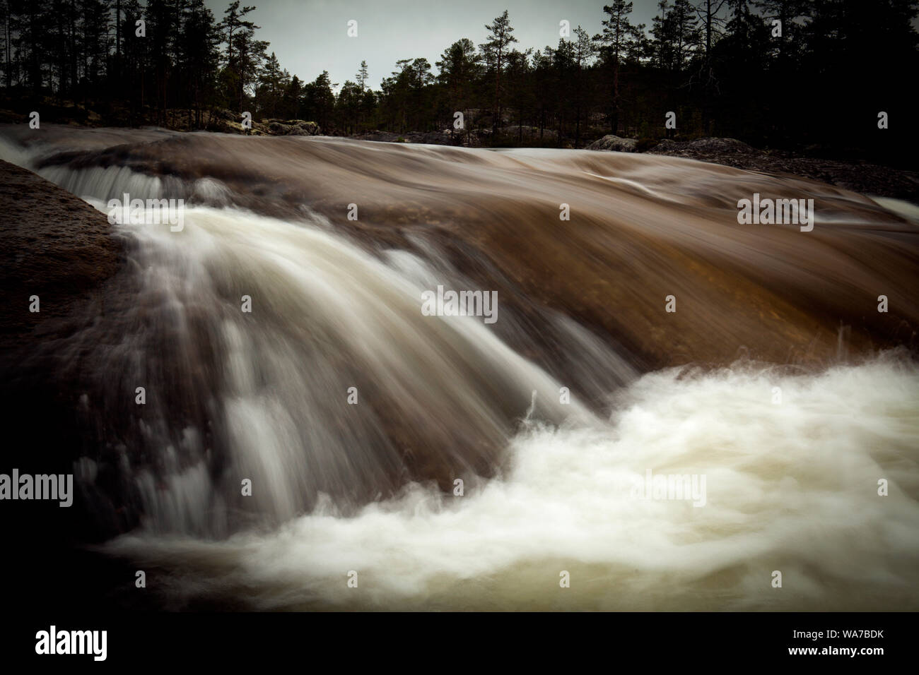River stream in the woodland. Cliff and rock both sides. Trees Stock ...