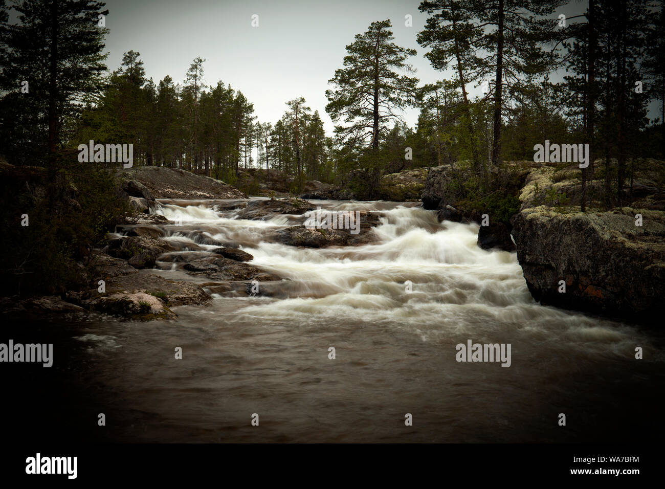 River stream in the woodland. Cliff and rock both sides. Trees Stock ...