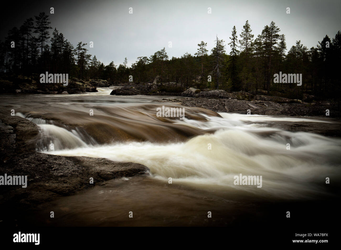 River stream in the woodland. Cliff and rock both sides. Trees Stock ...