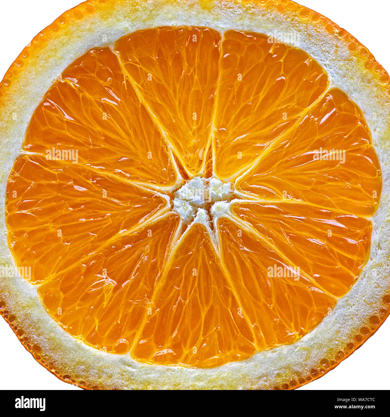 Halved shells hi-res stock photography and images - Alamy