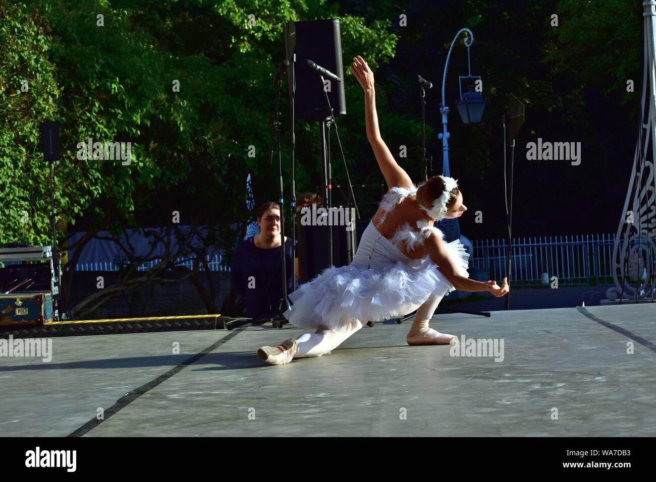 Dying Swan High Resolution Stock Photography and Images - Alamy