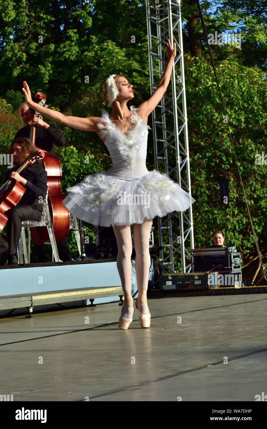 Dying Swan High Resolution Stock Photography and Images - Alamy