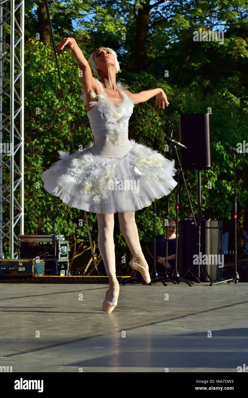 Dying Swan High Resolution Stock Photography and Images - Alamy