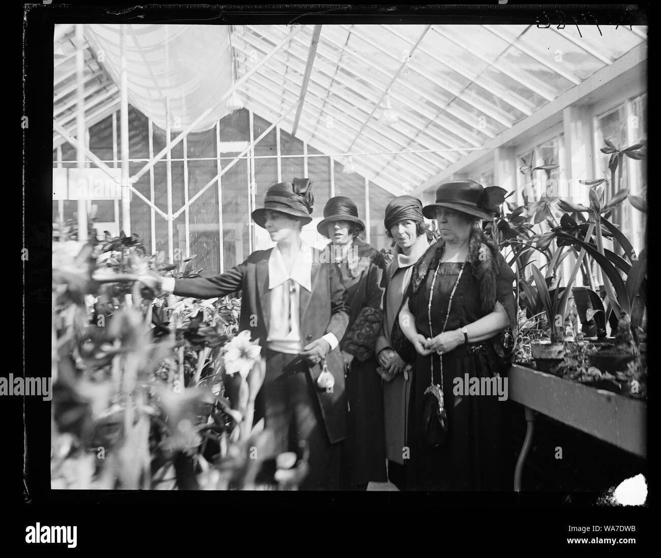 At the opening of the amaryllis show, Mrs. Coolidge, wife and daughters ...
