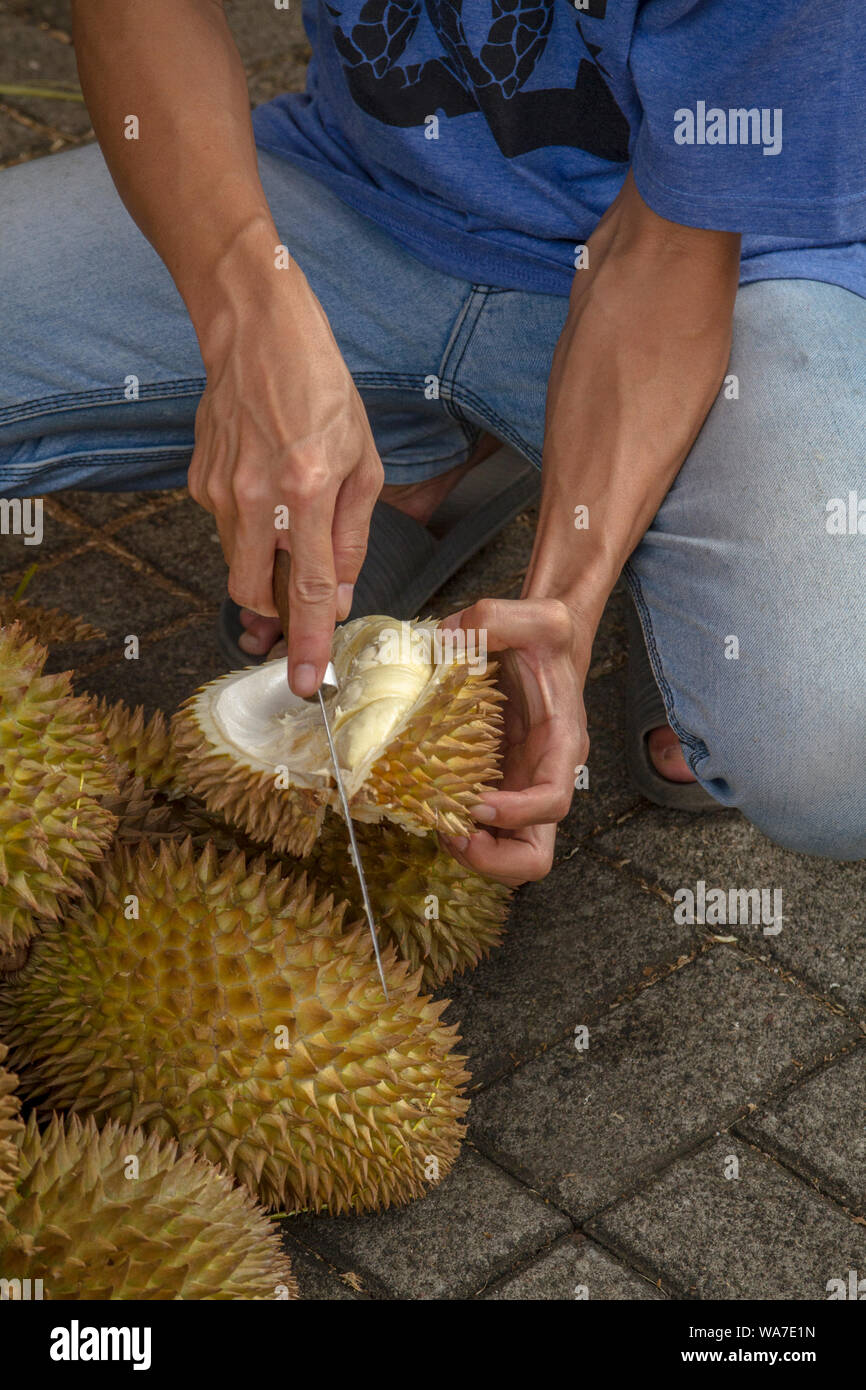 Skin Of Durian High Resolution Stock Photography and Images - Alamy