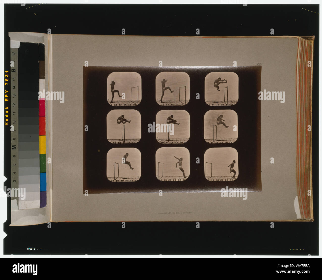 Athletes. Walking high leap Stock Photo - Alamy