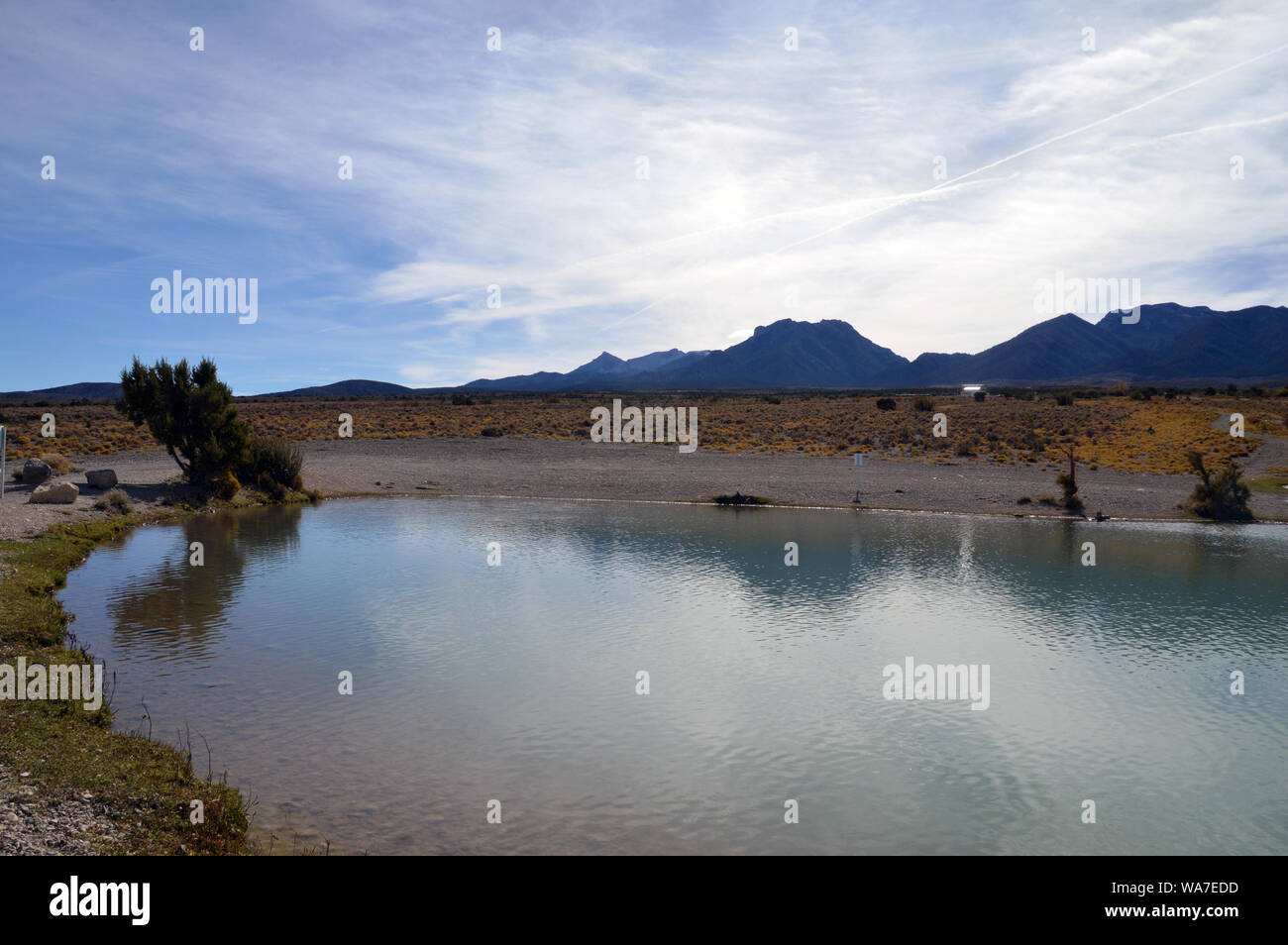 Water in the desert of Nevada Stock Photo - Alamy