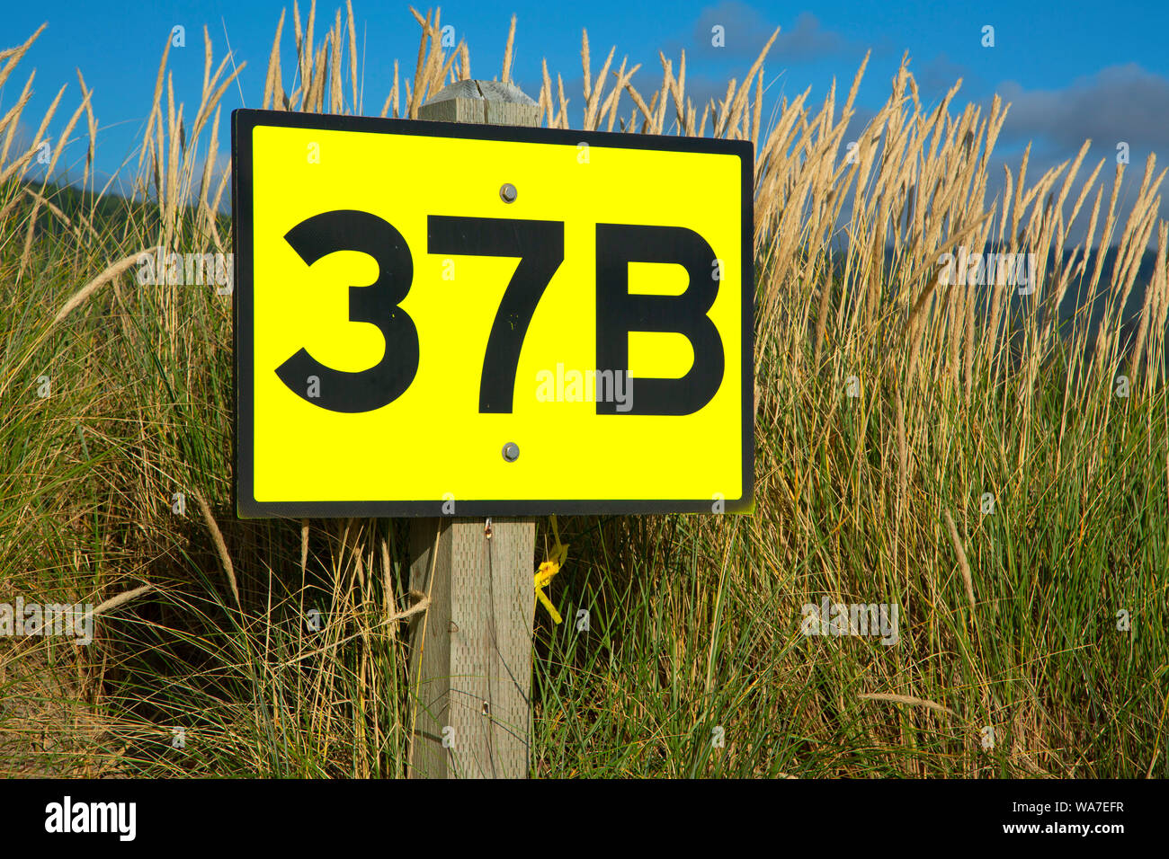 Coastal access marker, Governor Straub State Park, Oregon Stock Photo ...