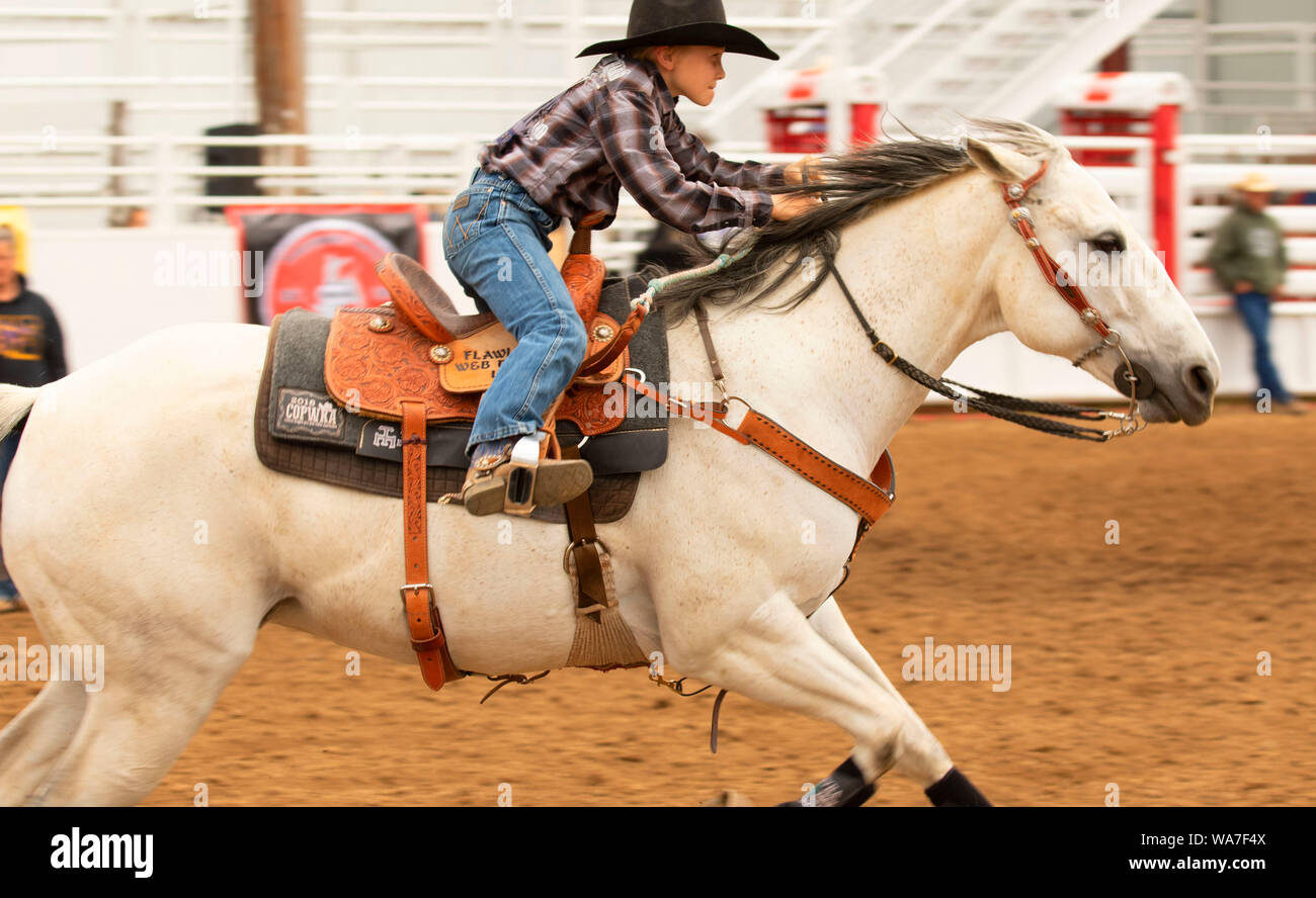 Rodeo barrel race hi-res stock photography and images - Alamy