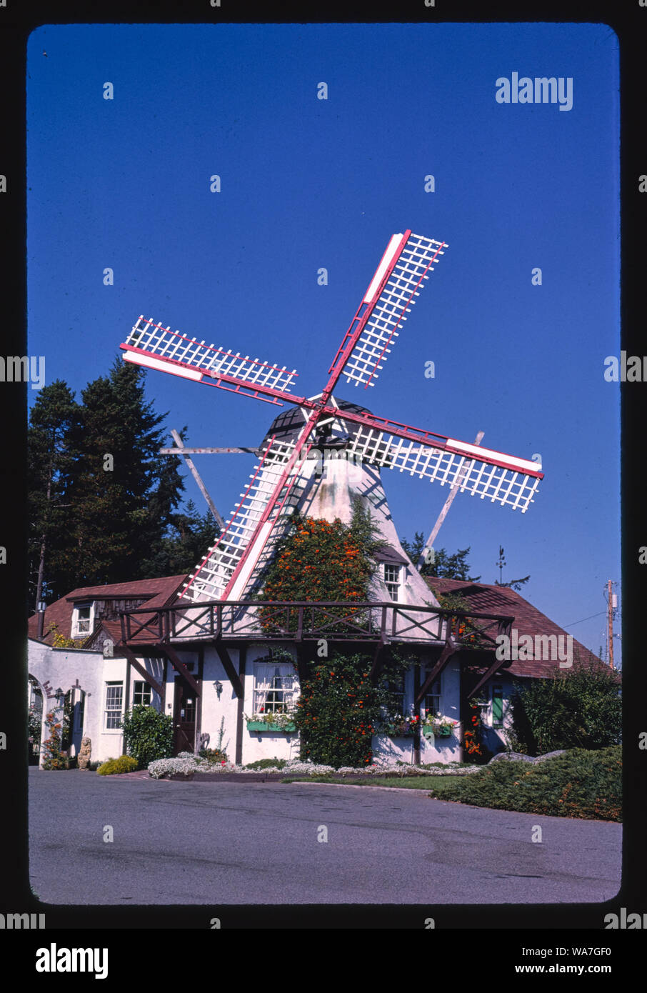 Auld Holland Inn, Oak Harbor, Washington Stock Photo - Alamy