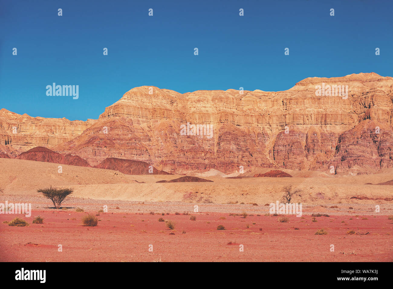 Desert landscape. Sandstone rock in Timna Park, Israel Stock Photo - Alamy