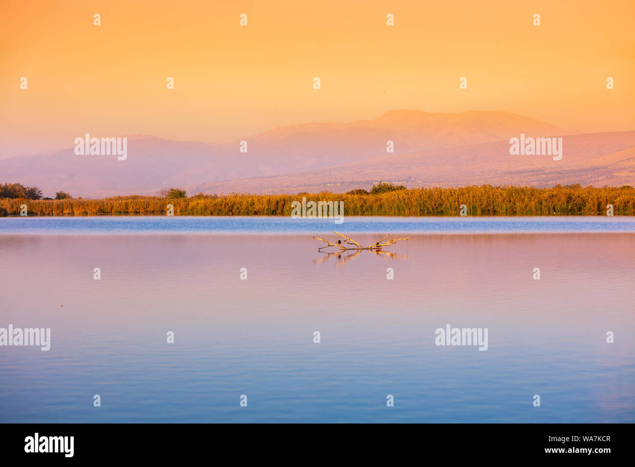 Agamon hula tourism park hi-res stock photography and images - Alamy