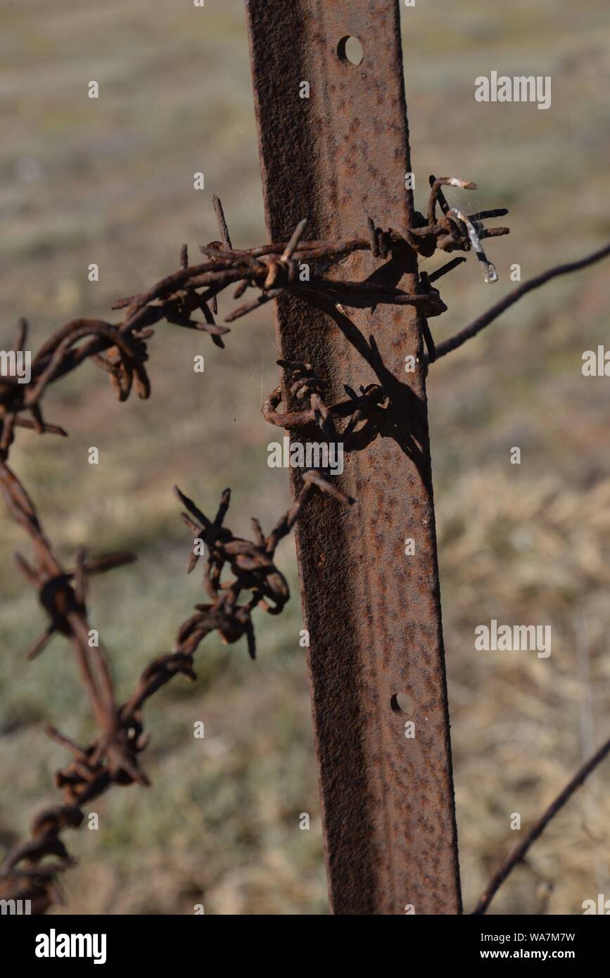 Barbed Wire Fence in the Australian Outback Stock Photo - Alamy
