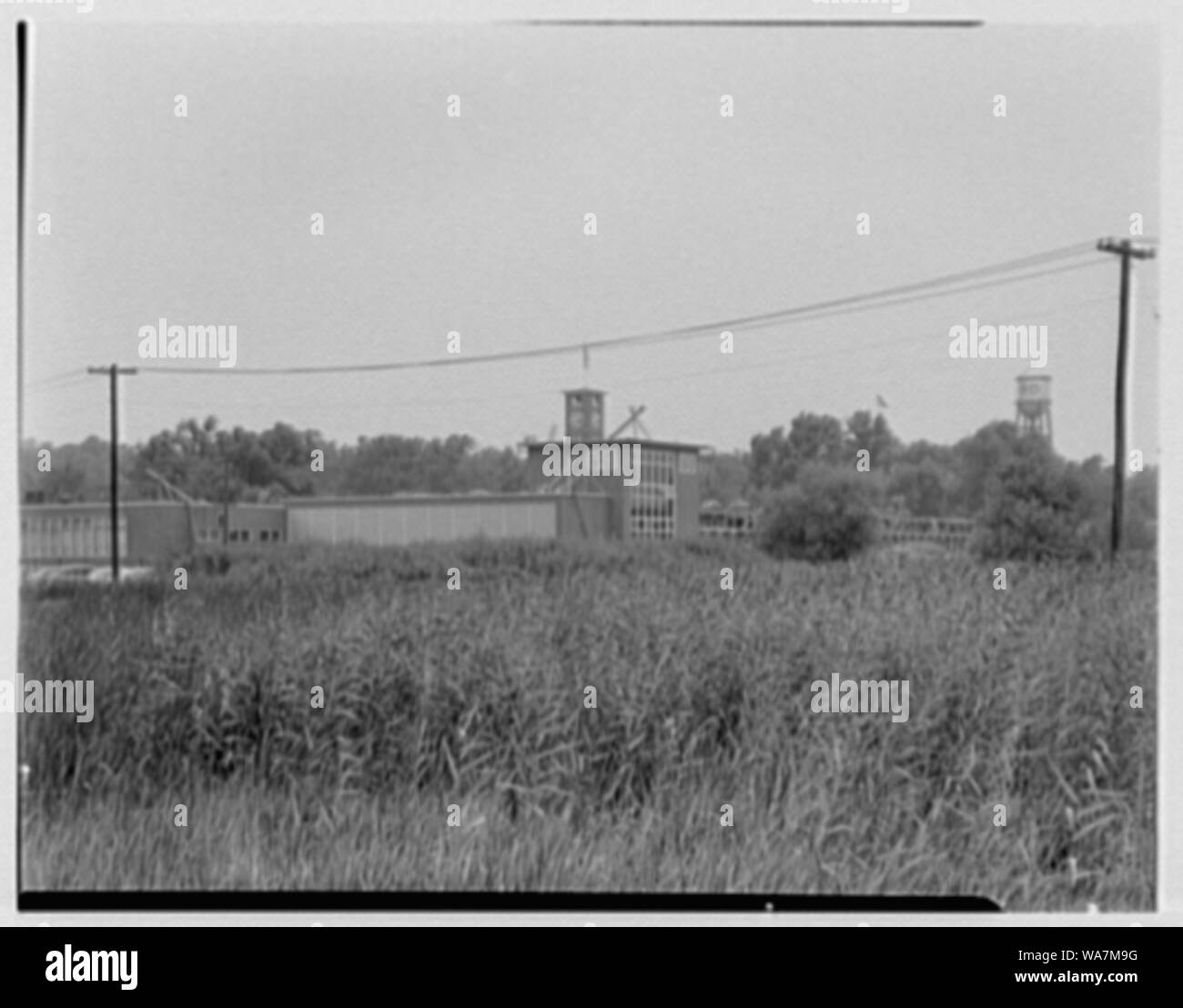 B lack Black and White Stock Photos & Images - Alamy